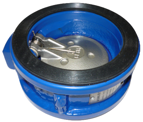 Check Valves | Asmuss